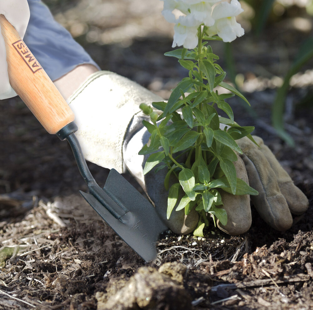Trowel - Hand Transplanter with Wood Handle - Sugar Creek Gardens Sugar ...